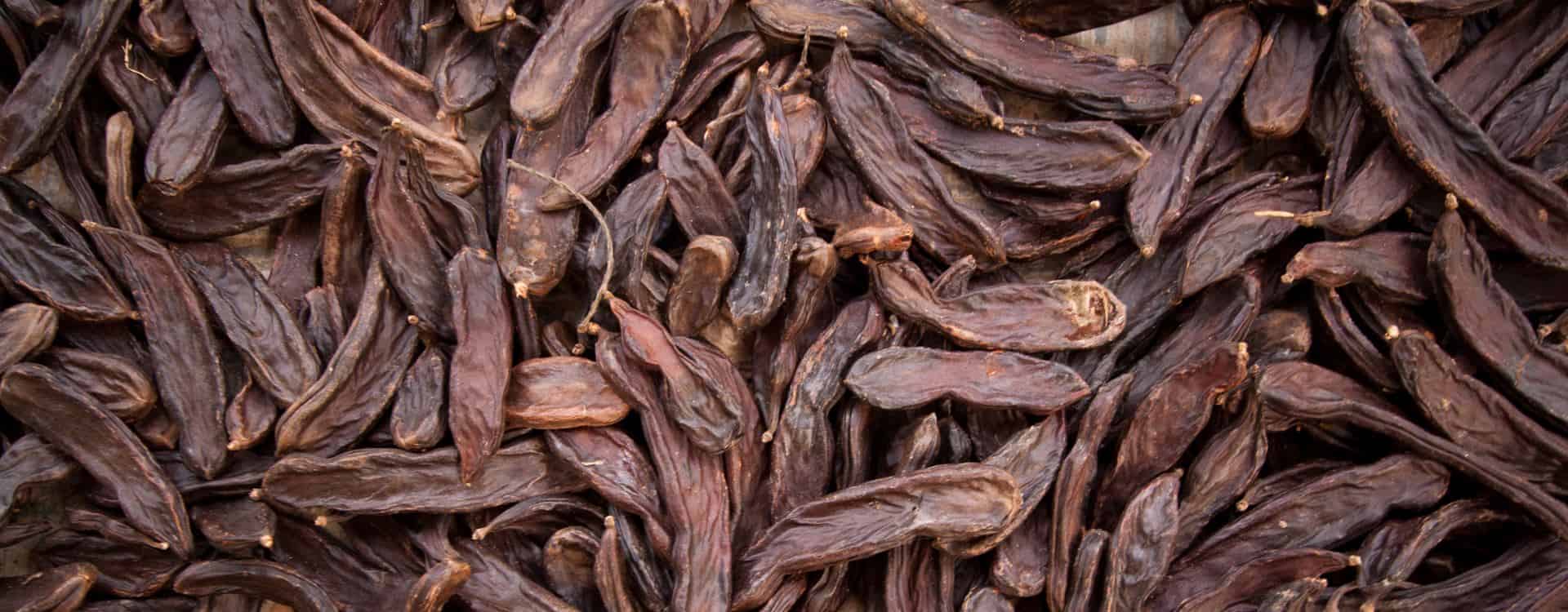 Carob (bot. Ceratonia Siliqua) - Wissen — VEGANE VIBES